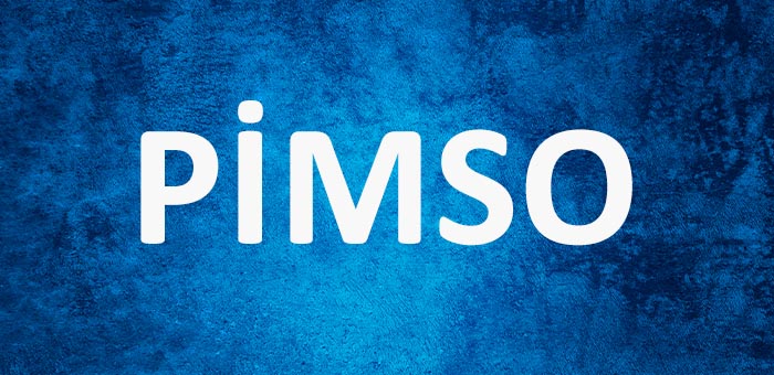 PİMSO Sual nümunələri - Hədəf Olimpiada Mərkəzi